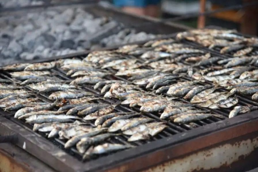 U petak ribarska noć u Kaštel Gomilici: potrebno je ponijeti dobru ...