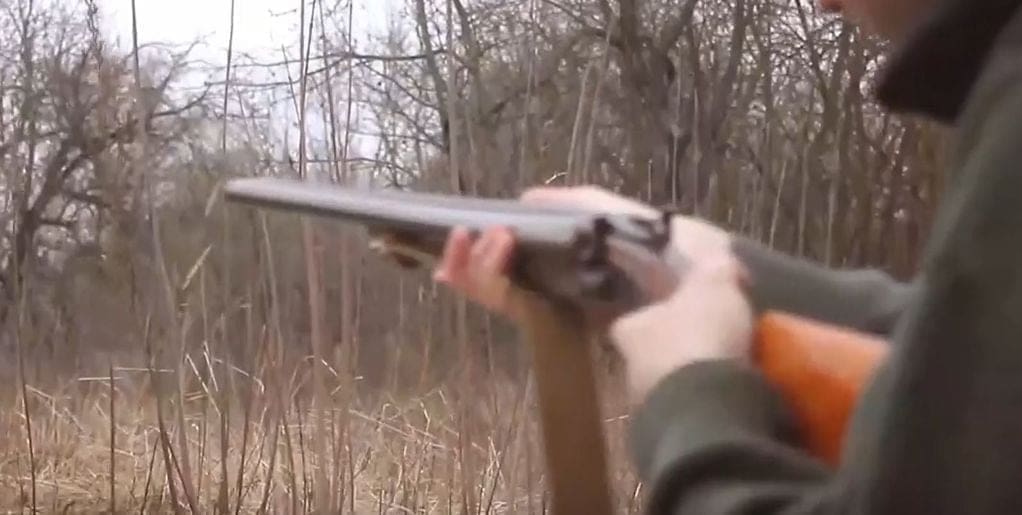 HOROR NA JUGU Odveo psa u brdo pa ga nemilosredno ubio: "Grozno, to je bolesno!" - DALMACIJA DANAS