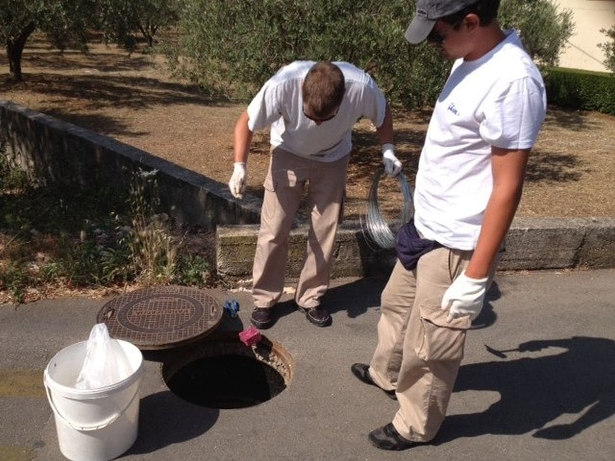 KAŠTELANI, OPREZNO! CIAN postavlja otrovne mamce - DALMACIJA DANAS