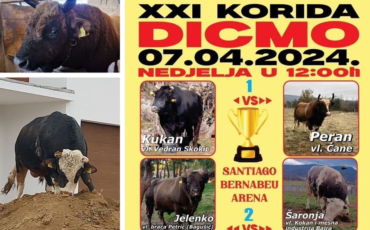 U NEDJELJU SE ODRŽAVA 21. KORIDA DICMO Kukan, Peran, Jelenko, Šaronja i brojni drugi ukrstit će ...