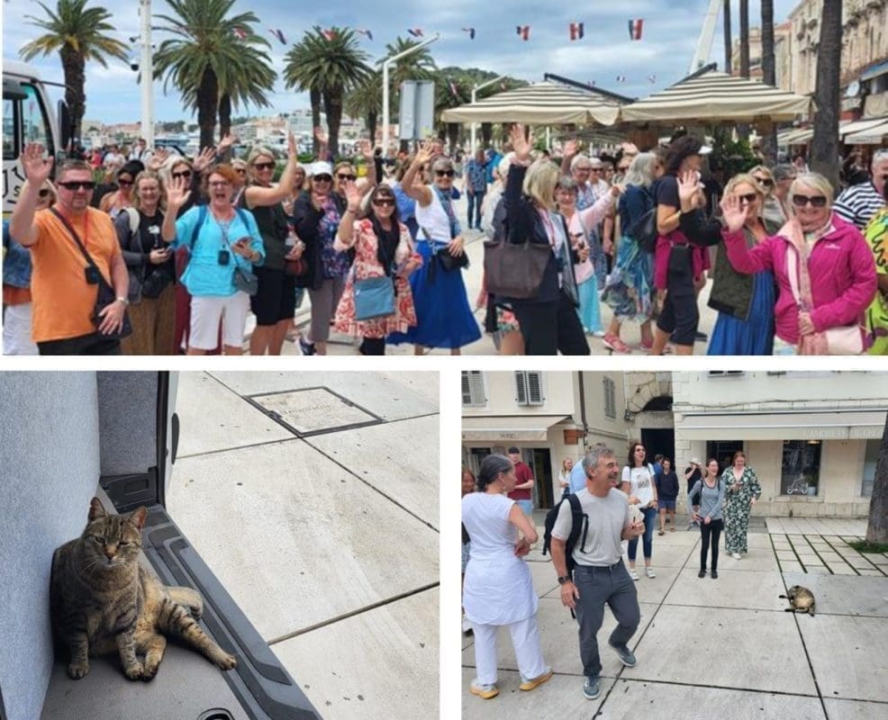 Policajci i jedna maca oduševili Splićane i turiste na Rivi - DALMACIJA ...